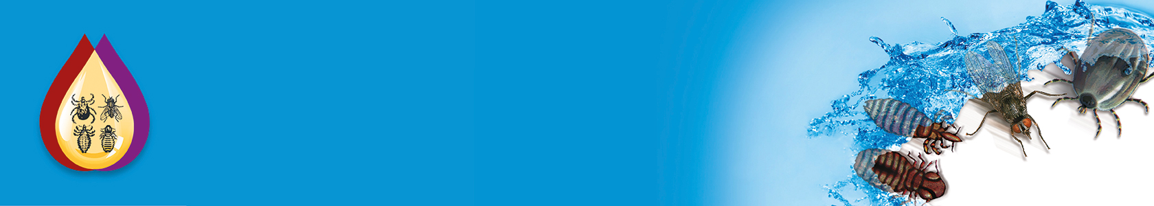 Amidip® MAX | Cattle Dip | Virbac south africa