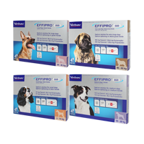 Dog Healthcare - Animal Health Experts | Virbac South Africa