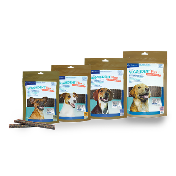VeggieDent FLEX | Joint Support Dog Chews | Virbac South Africa