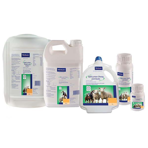 OptiLumen Sheep and Goats