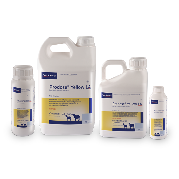 Prodose Yellow LA | Dewormer for Goats and Sheep | Virbac South Africa