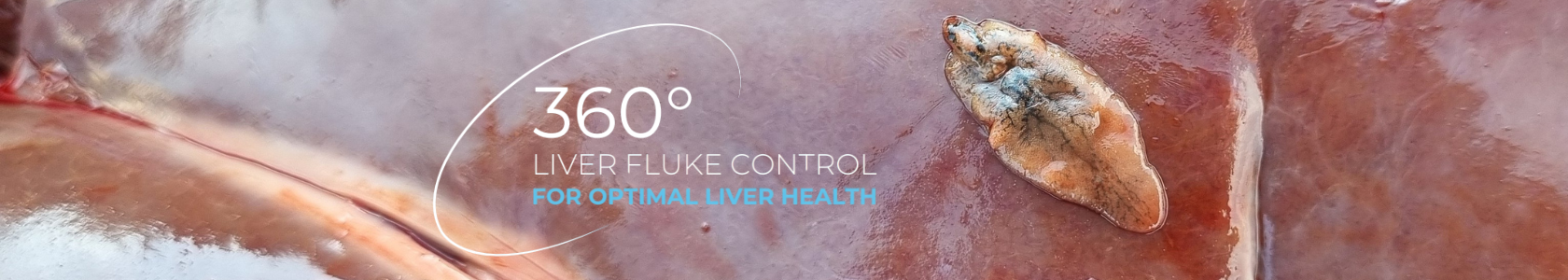 Flukazole C | Liver Fluke Treatment | Virbac South Africa